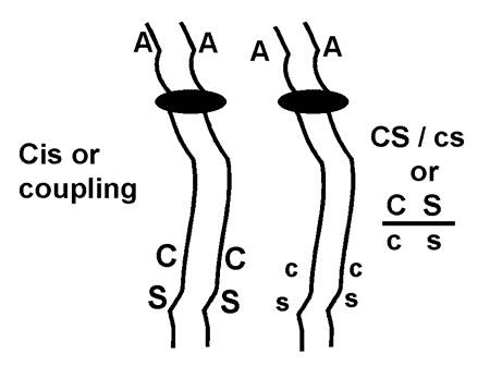 Cis Versus Trans | Linkage - Part 1 - passel