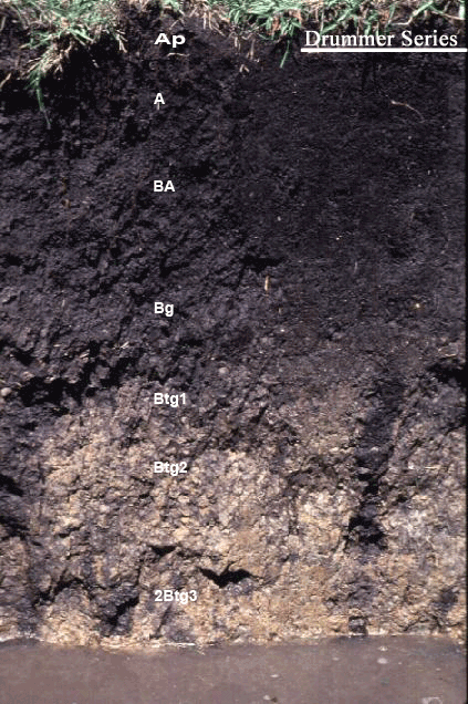 Dominant Soil In The Us Expansive Soils Map For The United States