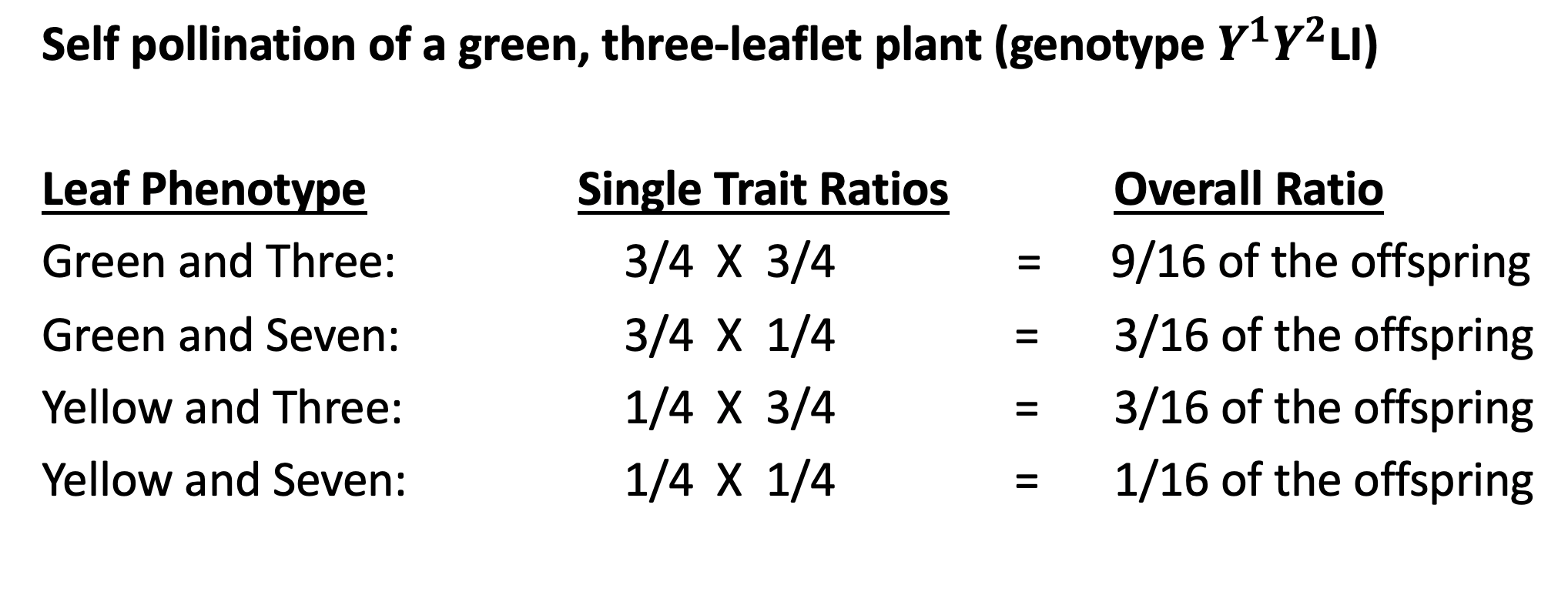 Genotype And Phenotype Ratios Garden Gene Genius Introduction | Ask